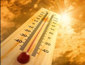 Heatshock stress in C.elegans (ARENA system) - Phylumtech