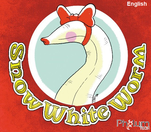 WORM-TALES - Phylumtech