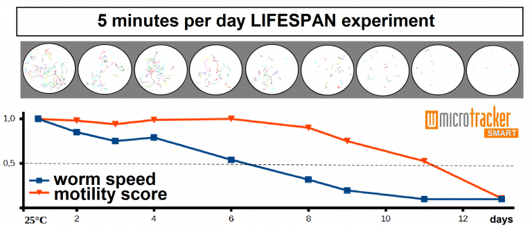 WMICROTRACKER SMART - Phylumtech