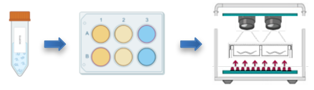 PRODUCTS - Phylumtech