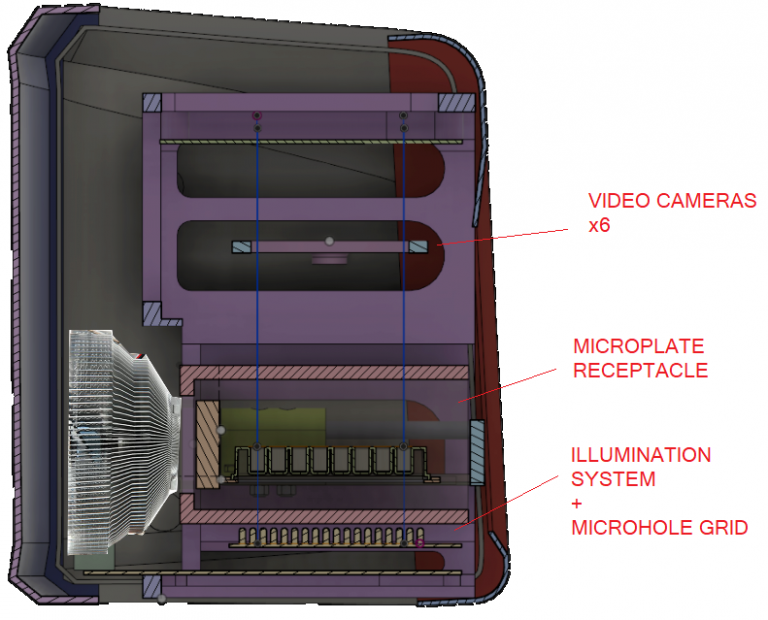 ARENA FAQs - Phylumtech
