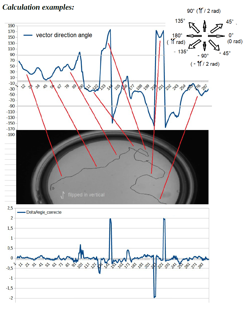 Quantifying Worm Pirouettes: Calculating Trajectory Turning Angle using ...